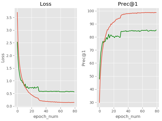Can't reproduce top-1 85% results · Issue #13 · zhang-can/ECO-pytorch · GitHub