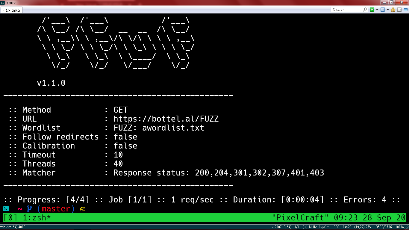 Some what error · Issue #310 · ffuf/ffuf · GitHub