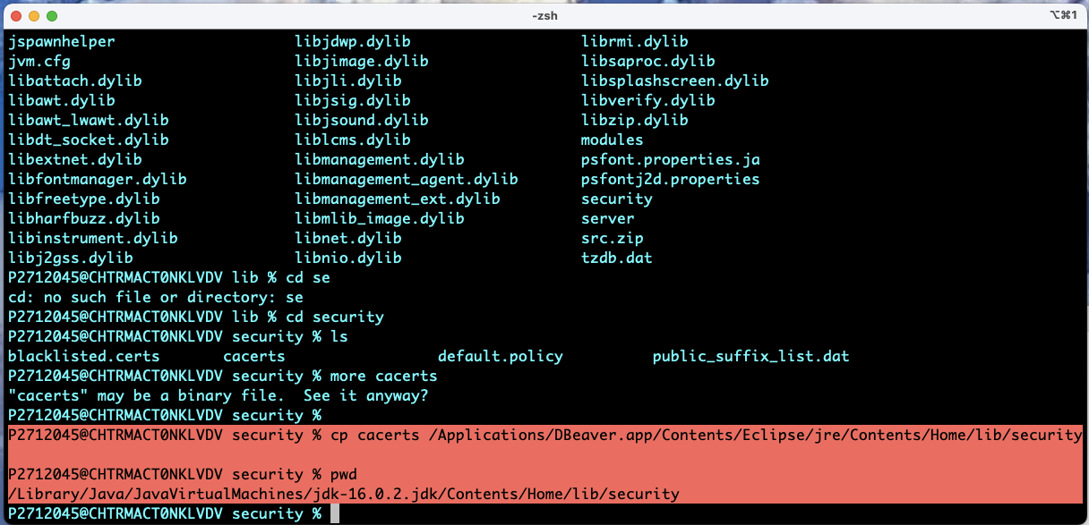 Installed a new version of Dbeaver and am getting a Java.net.ssl.SSLHandshakeException:PKICK ...