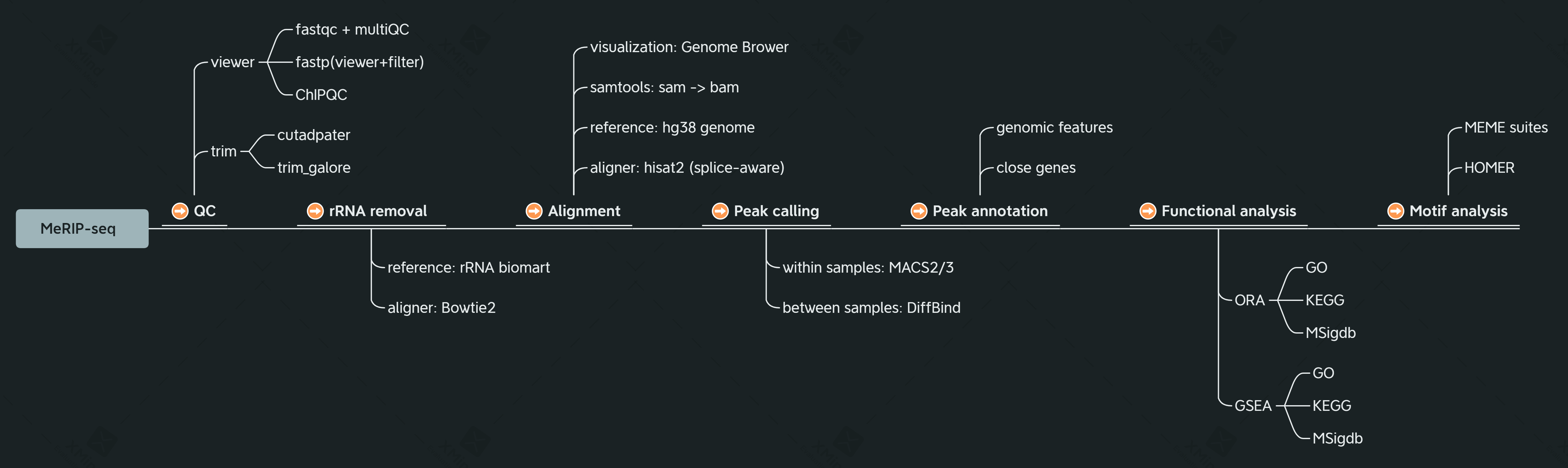 GitHub - qizongtai/RIP_seq_pipeline