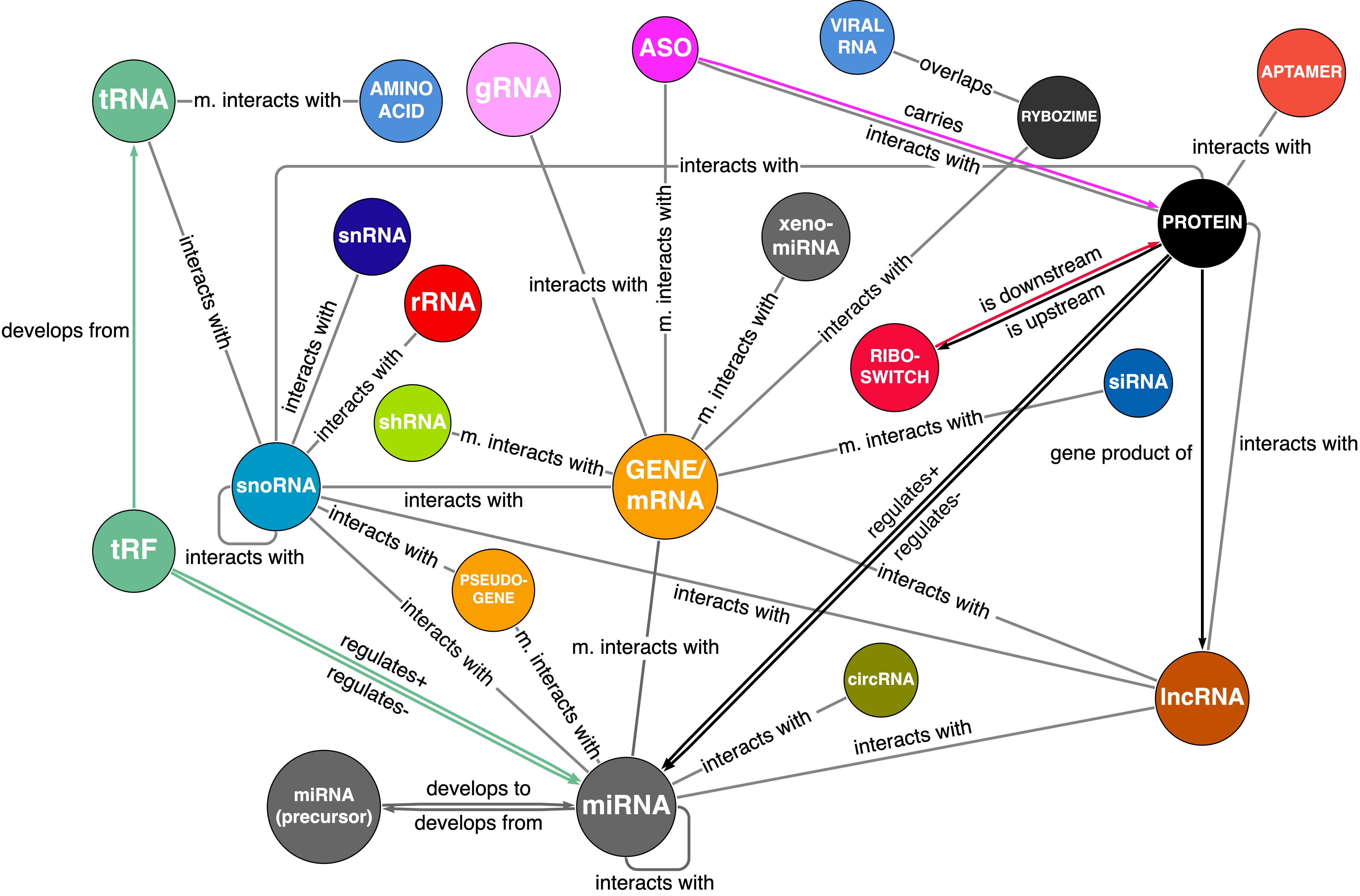 GitHub - AnacletoLAB/RNA-KG