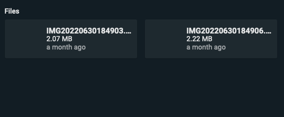 Image thumbnails are not displayed · Issue #2078 · filebrowser/filebrowser · GitHub