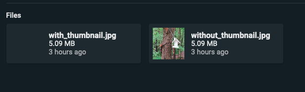 Image thumbnails are not displayed · Issue #2078 · filebrowser/filebrowser · GitHub