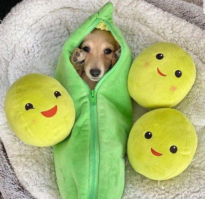 GitHub - drewmj1s/hatchways: Created for hatchways front-end assessment ; student profiles