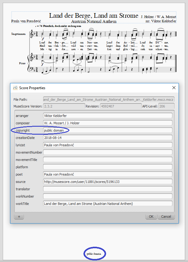 Implement displaying copyright etc · Issue #353 · opensheetmusicdisplay ...