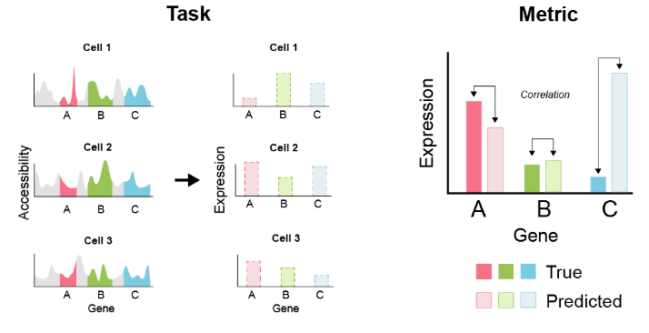 GitHub - 97joseph/Multinomial-Cell-Analysis: Cell analysis