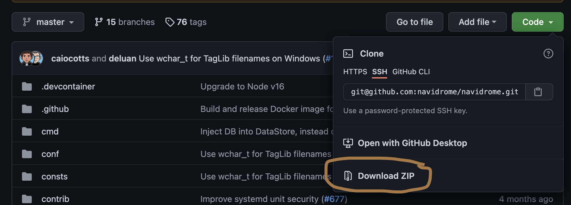Source for v0.45.0 missing .gitinfo file · Issue #1302 · navidrome/navidrome · GitHub