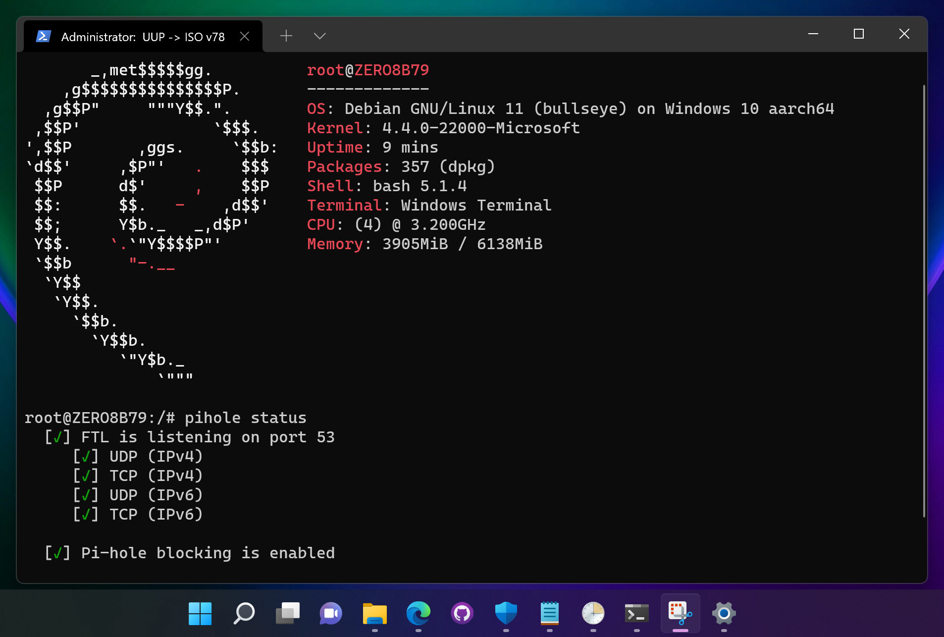 GitHub - DesktopECHO/Pi-Hole-for-WoA: Pi-Hole for Windows on ARM