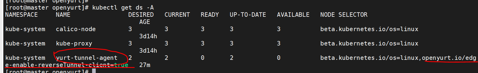 Error report in creating pod of yurt tunnel agent · Issue #262 · openyurtio/openyurt · GitHub