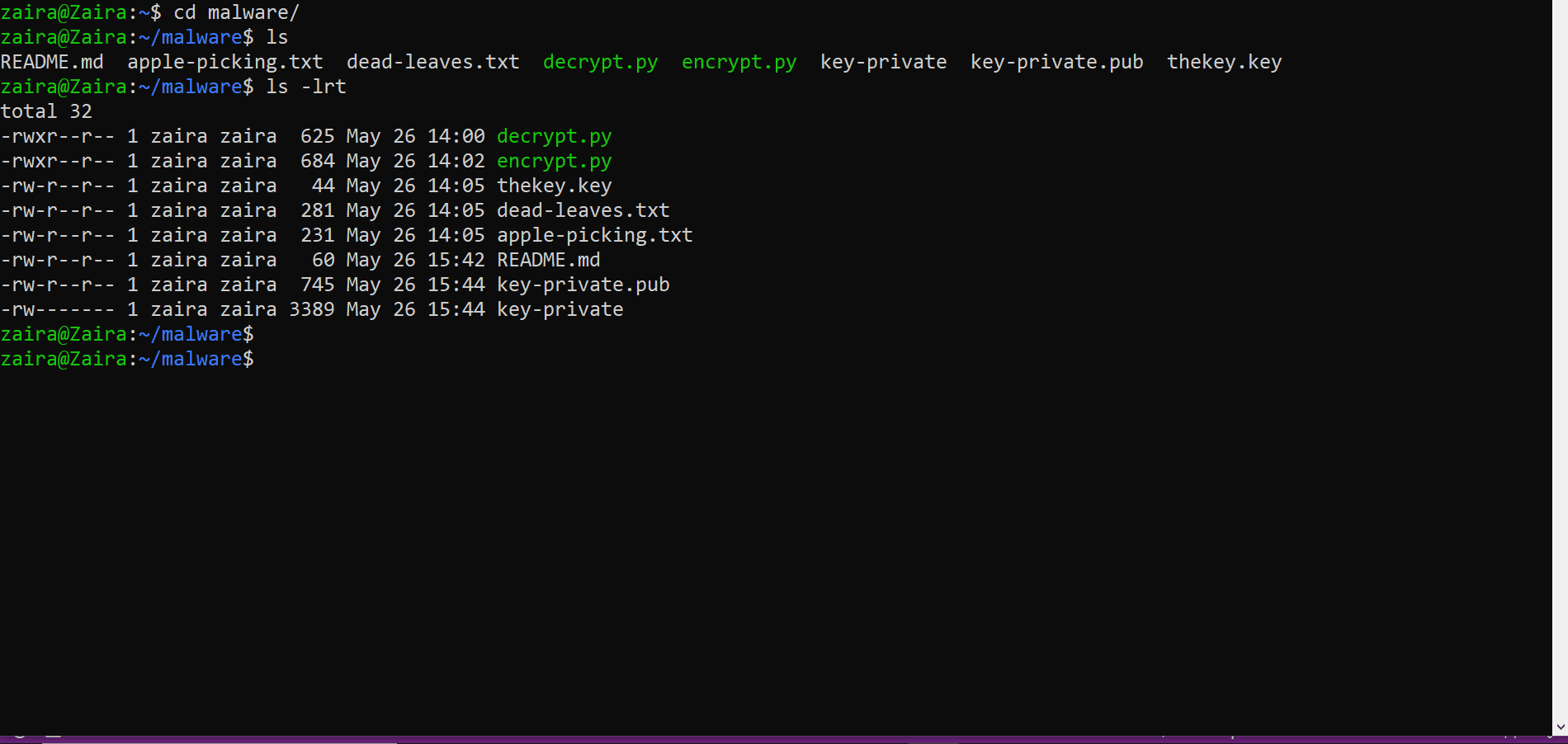 GitHub - zairahira/Ransomware-Python