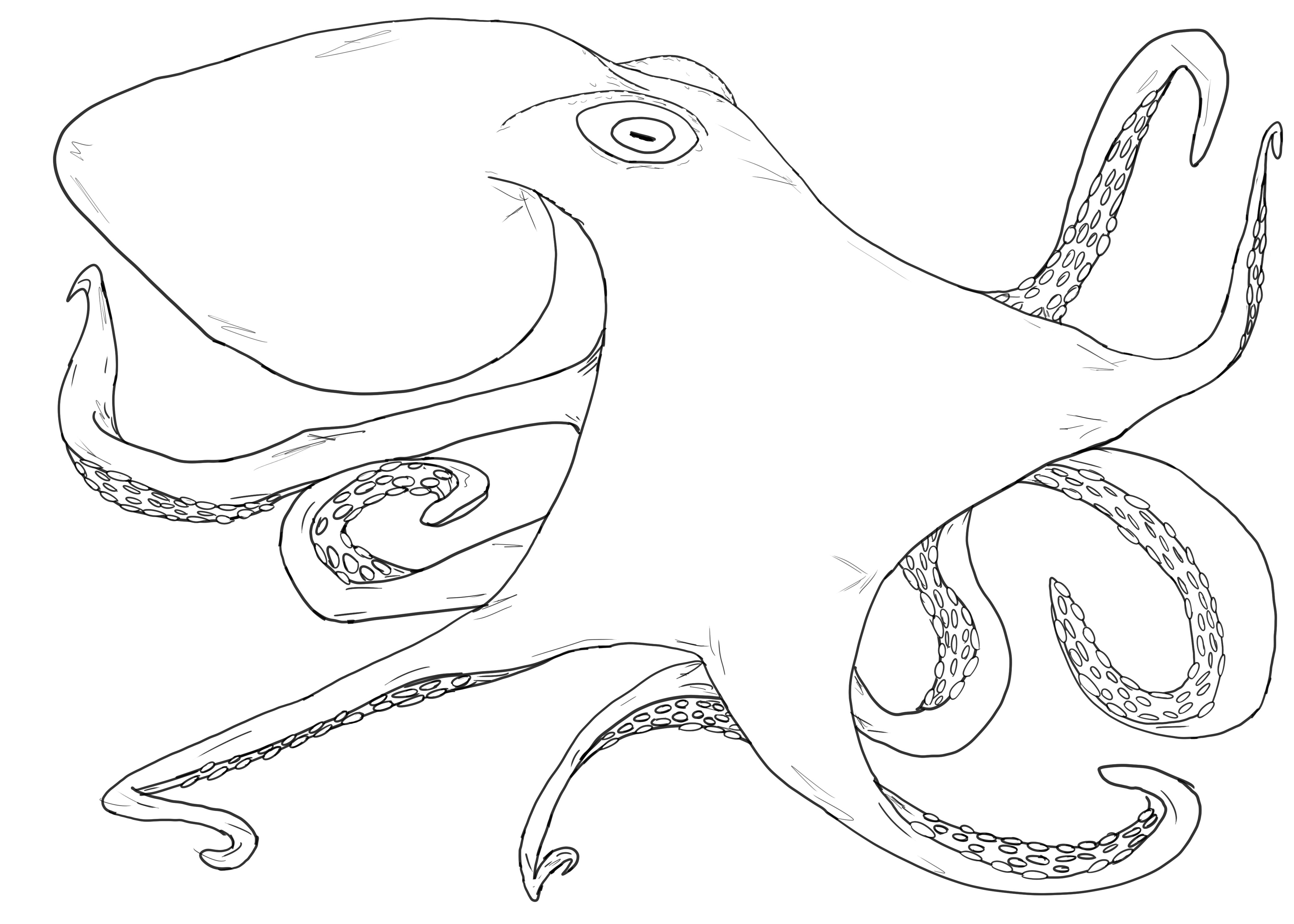 GitHub - jacobmott/ARTPhotoshopLineArtMaster: Working through Line Art ...