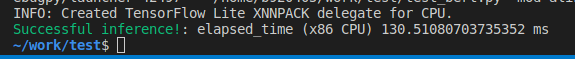 I cannot run a transformer model with token-level output on accelerated hardware in TF Lite ...