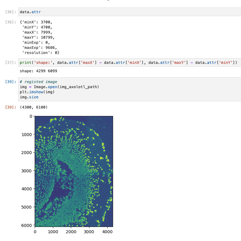 Image registration problem of histological images and gene expression images · Issue #17 ...