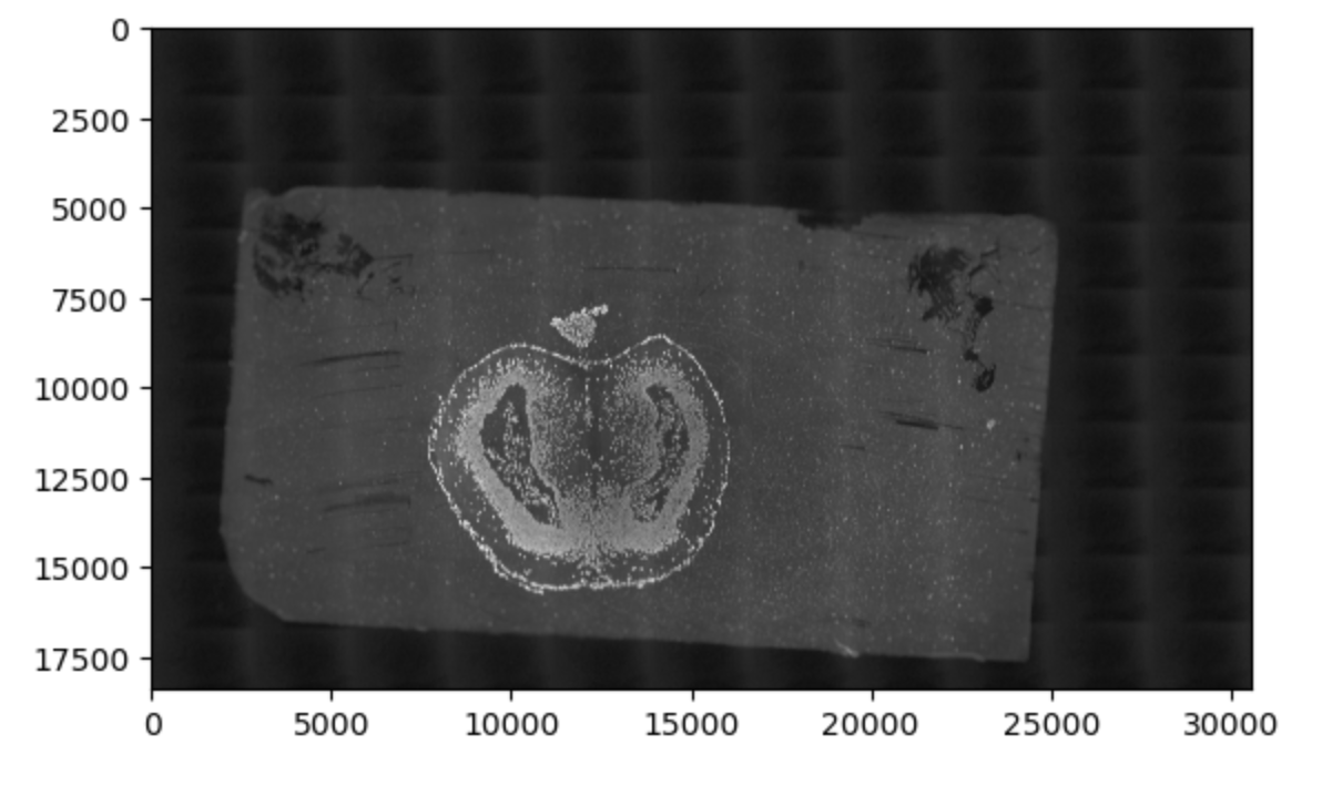 Image registration problem of histological images and gene expression ...