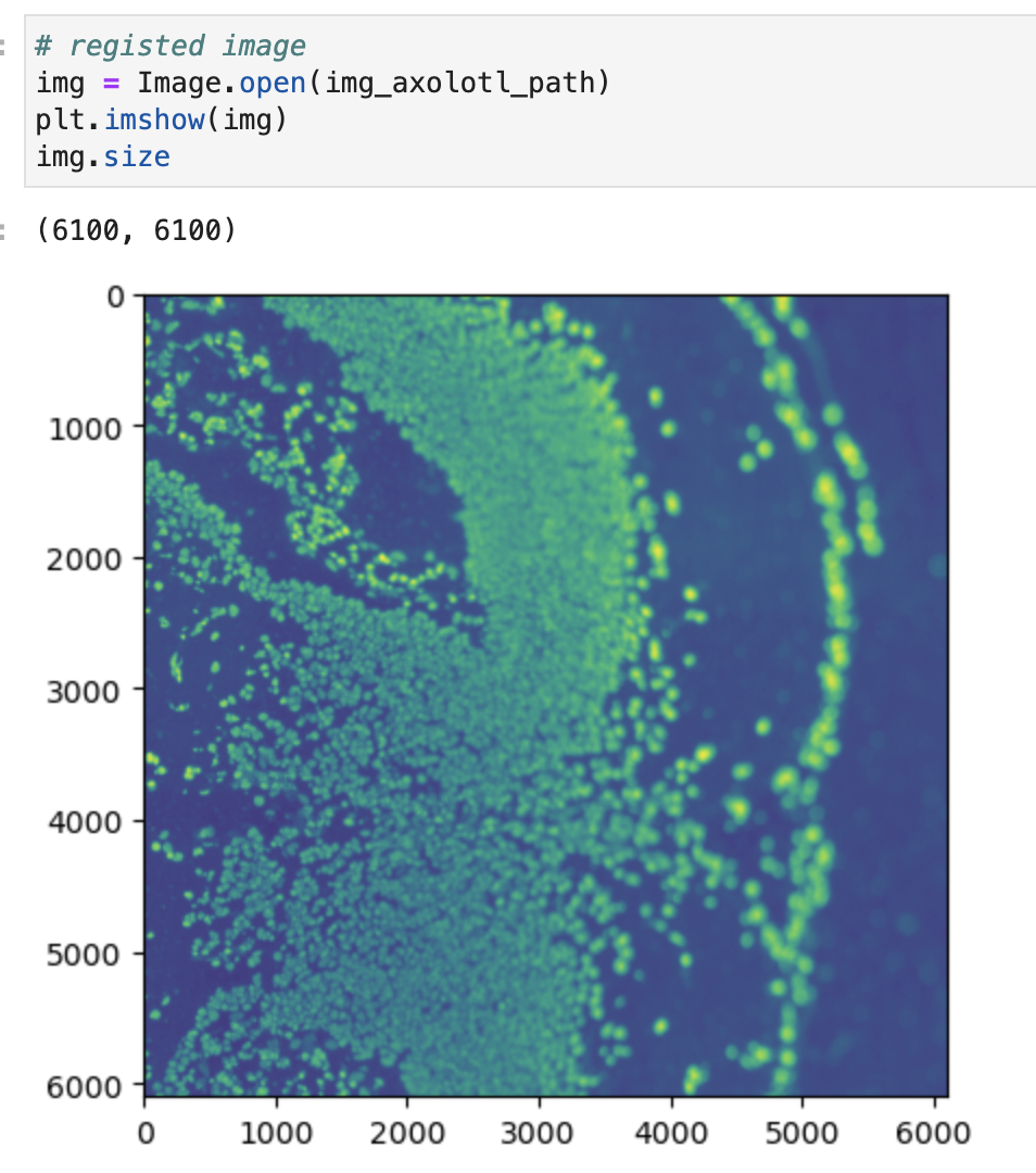 Image registration problem of histological images and gene expression images · Issue #17 ...