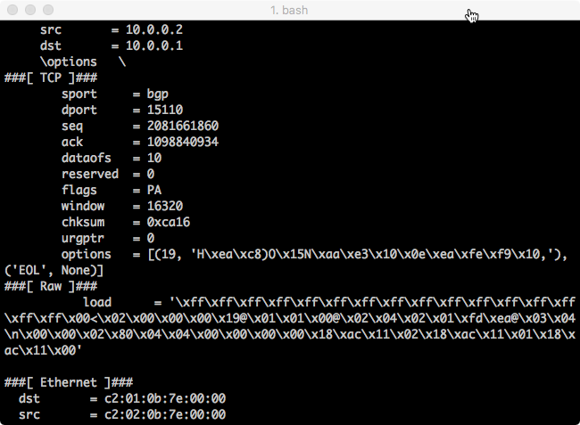 BGP Layer 'swallows' packets, · Issue #645 · secdev/scapy · GitHub