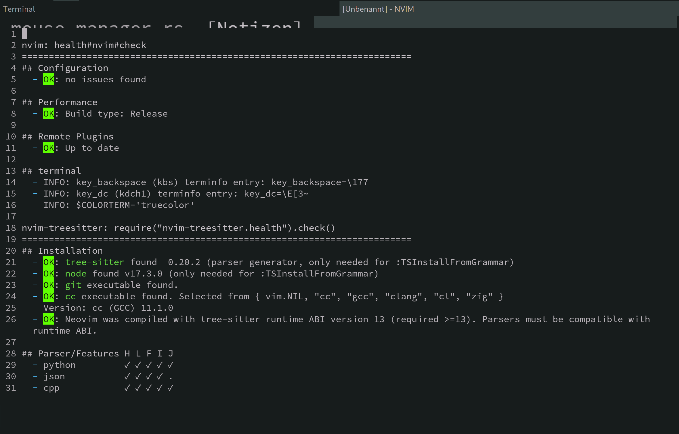 Setting Colorscheme And Font Causes Scaling Issues On Hidpi Setup · Issue 1143 · Neovide