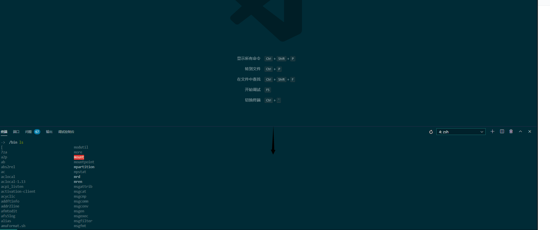 integrated terminal display bug after create new terminal · Issue ...
