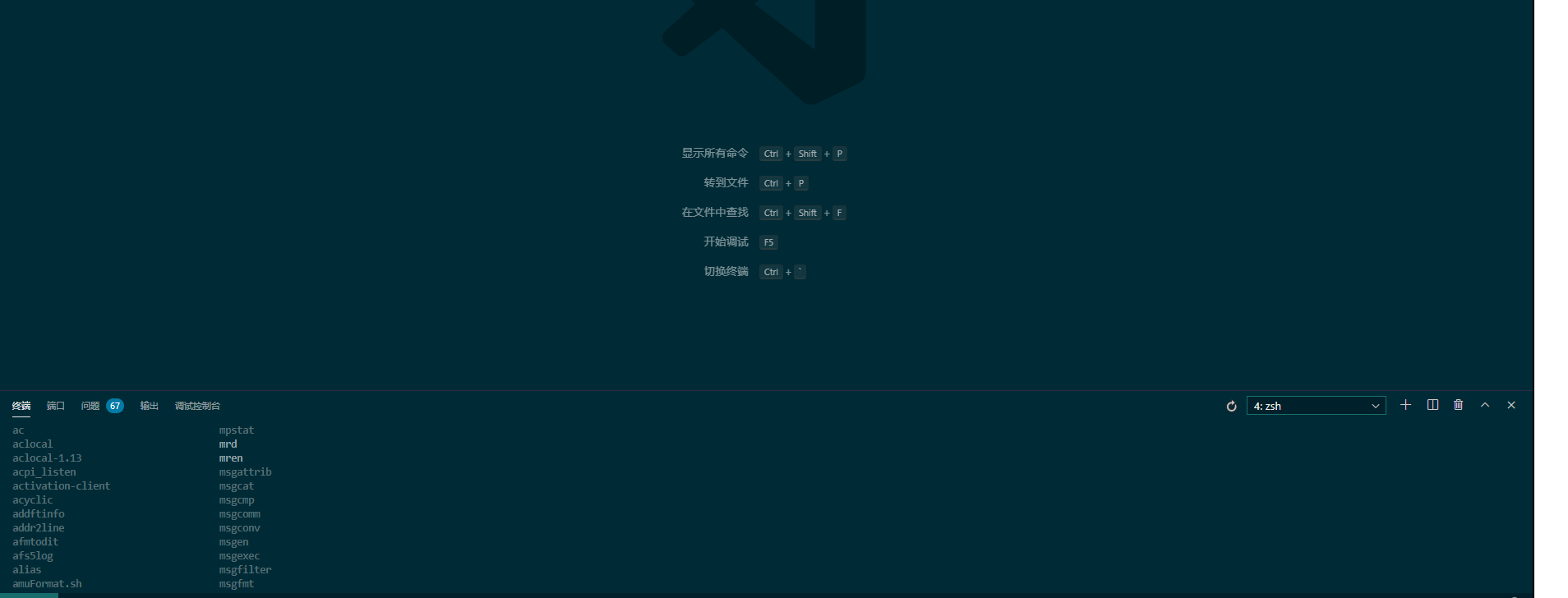 integrated terminal display bug after create new terminal · Issue ...