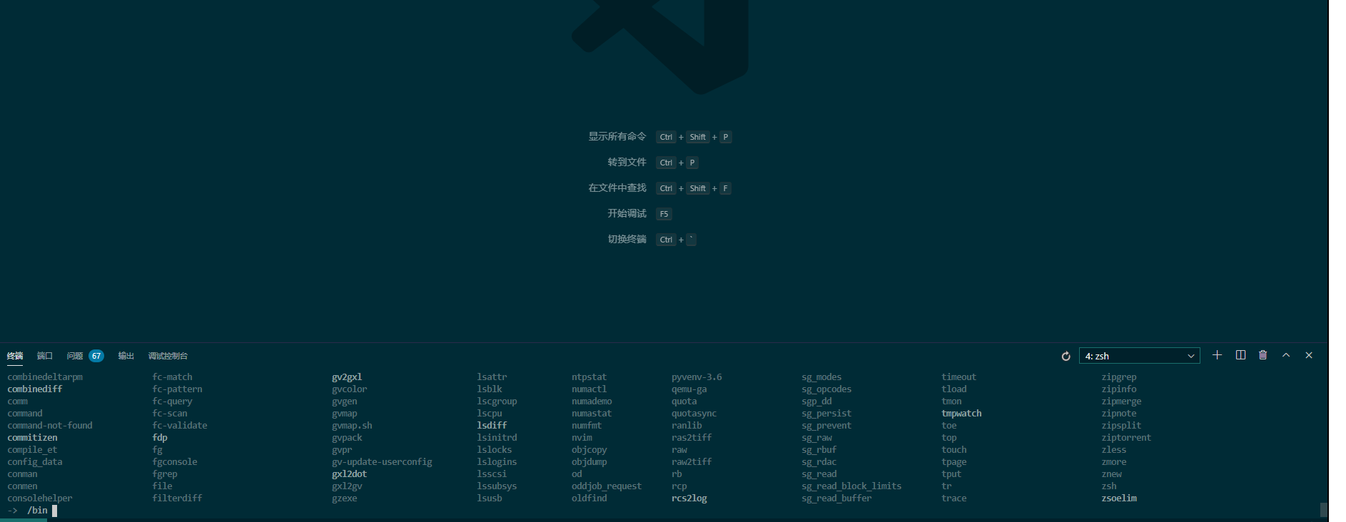 integrated terminal display bug after create new terminal · Issue ...