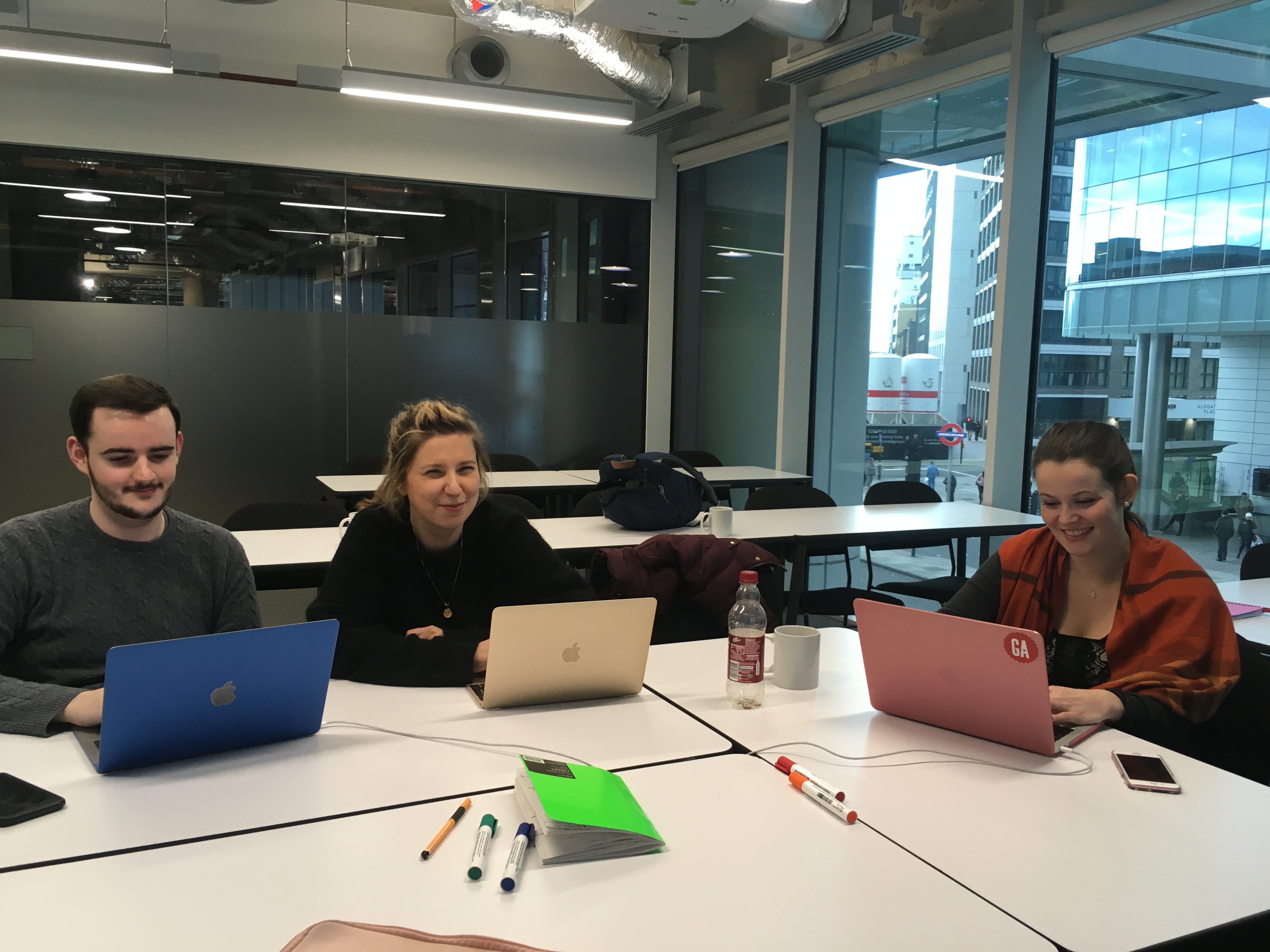 GitHub - EvelinaKuu/wdi-third-project: Project 3 WDI