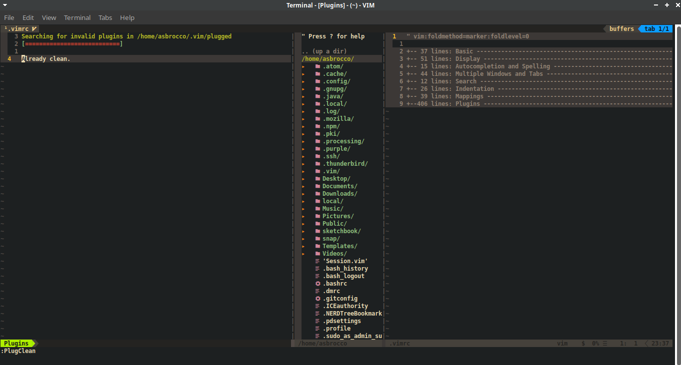 Suggested config partially interacts with vim-plug call · Issue #1125 · preservim/nerdtree · GitHub