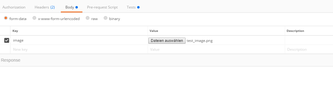 Postman 6.0.9 canary2 on Windows 10: in collection form-data file value ...