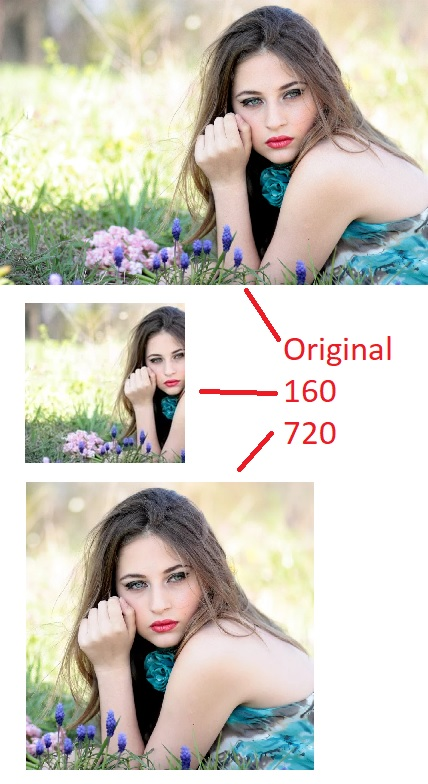 Smartcrop: cropbox is misplaced · Issue #879 · libvips/libvips · GitHub