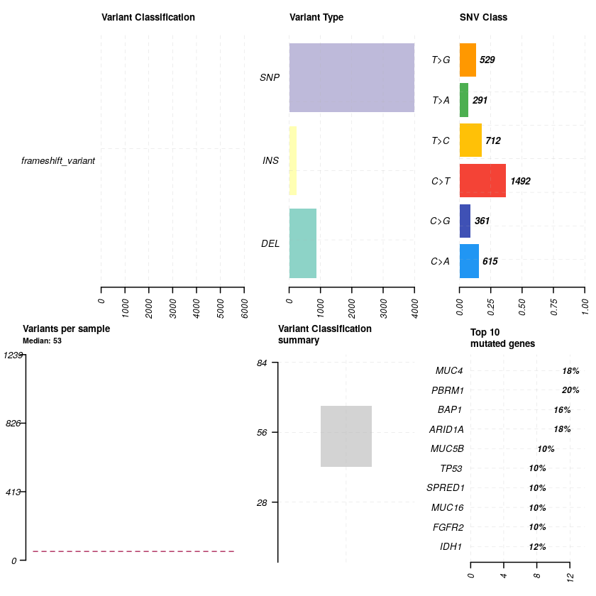 Use vc_nonSyn customized variant classifications plotmafSummary can not be displayed · Issue ...