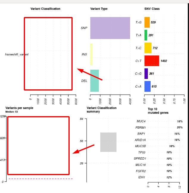 Use vc_nonSyn customized variant classifications plotmafSummary can not be displayed · Issue ...