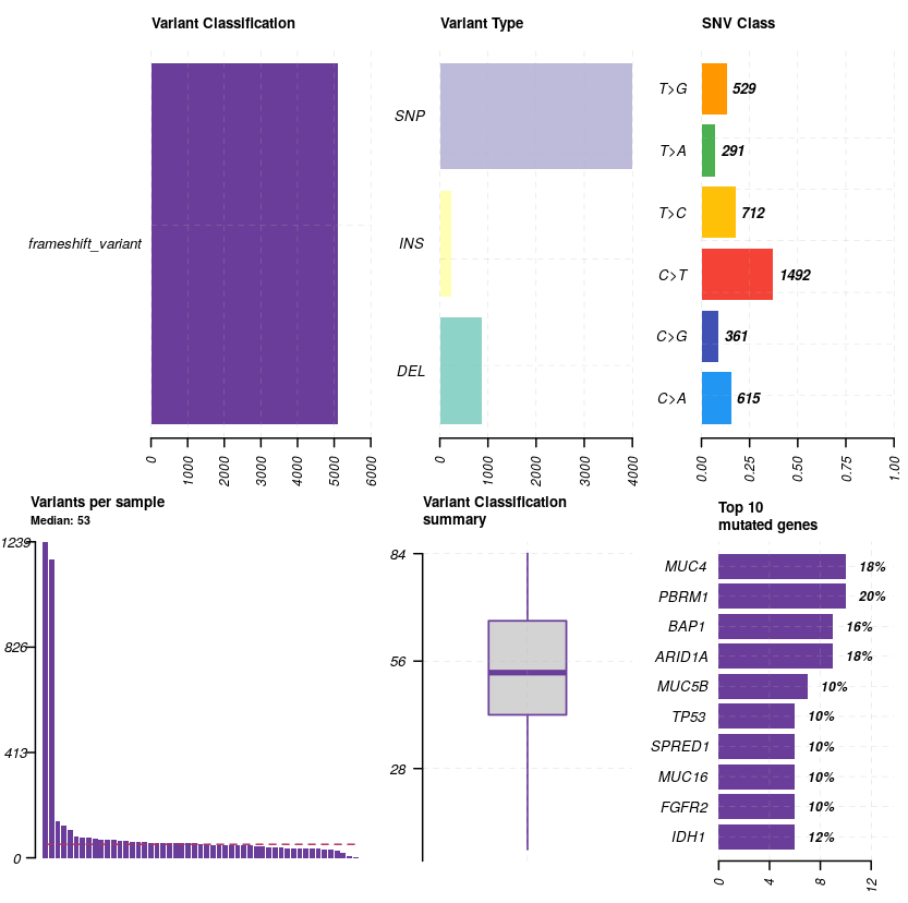 Use vc_nonSyn customized variant classifications plotmafSummary can not be displayed · Issue ...
