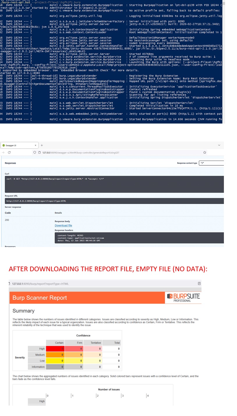 How To Solve Recover Vulnerabilities In A Report Via Swagger · Issue 164 · Vmwareburp Rest