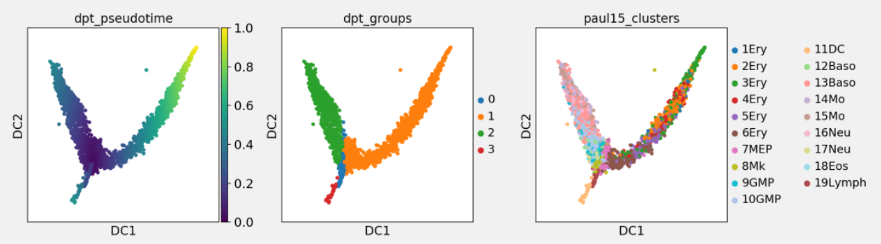 Error when repeating the tutorial for diffusion map in v1.9.1 scanpy · Issue #2254 · scverse ...