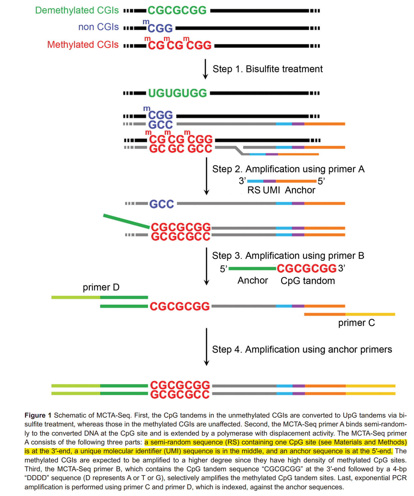 Question about sam/bam flag · Issue #241 · FelixKrueger/Bismark · GitHub