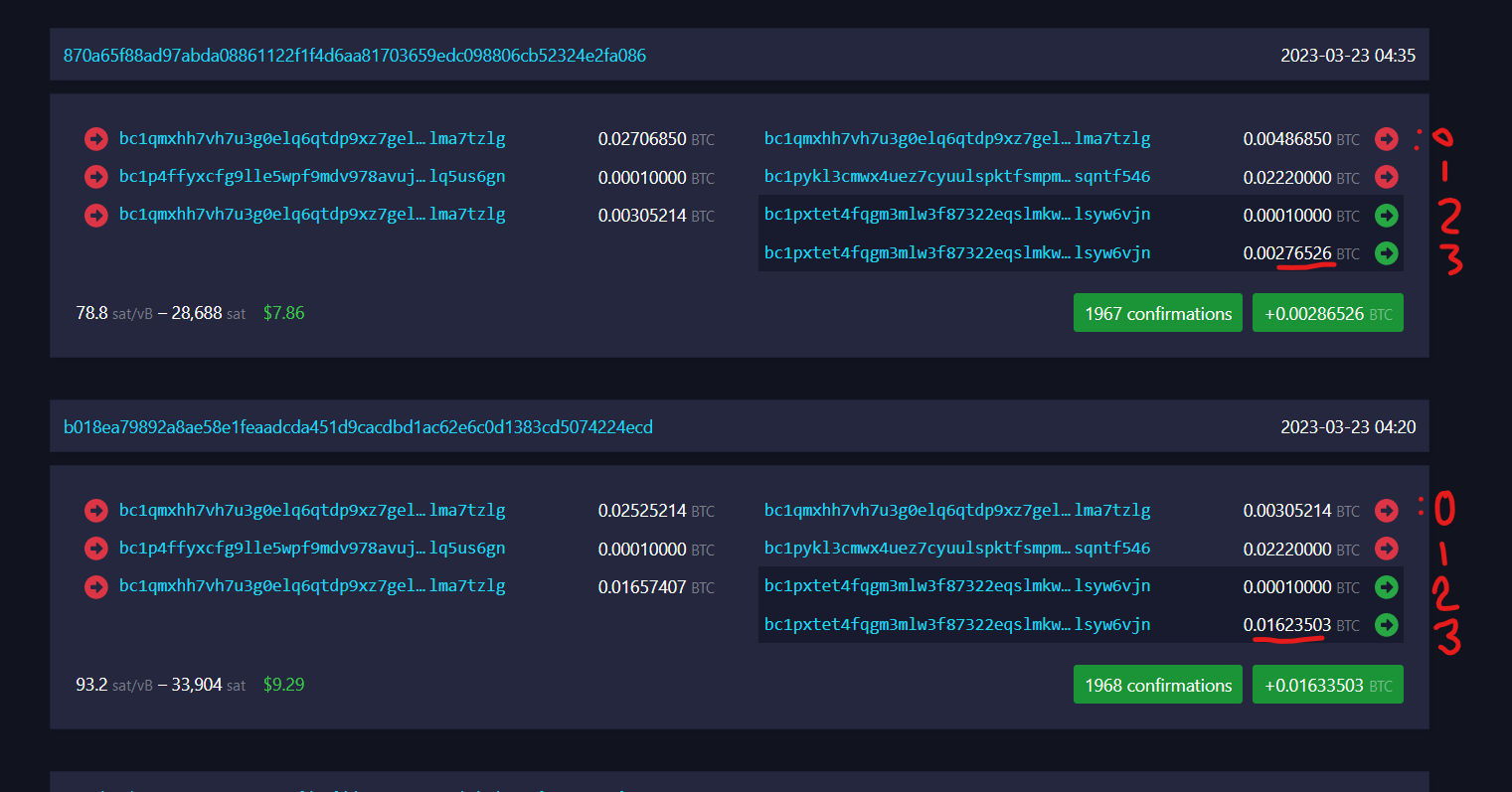 Ordinal inscriptions showing twice or more and revealing (false uninscribed BTC) · Issue #3517 ...