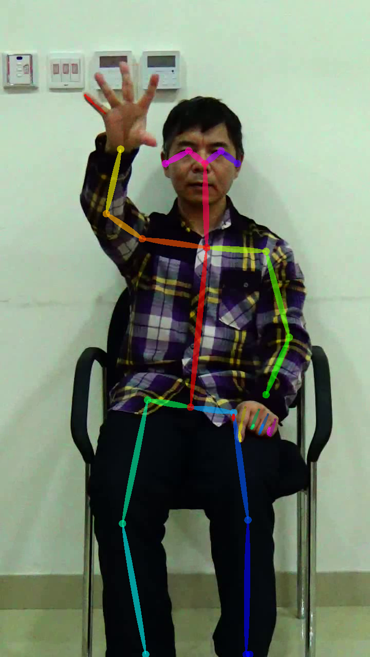 Sometimes Hands Cannot Be Detected · Issue 828 · Cmu Perceptual Computing Lab Openpose · Github