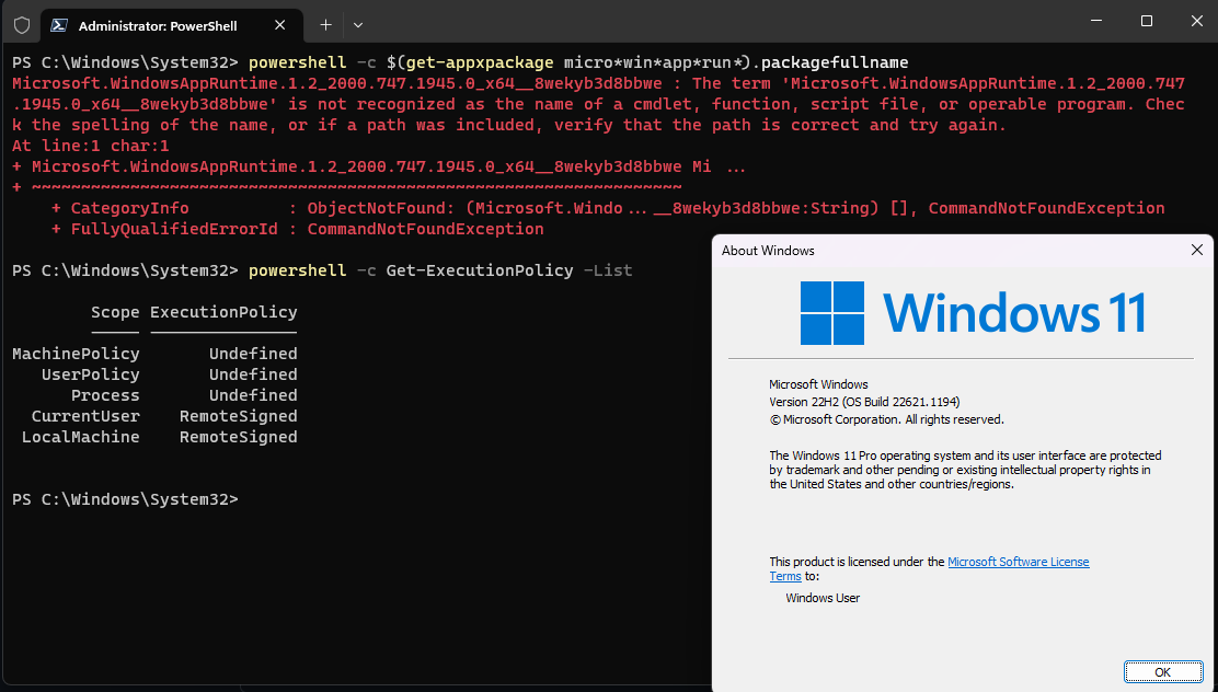 WinAppSDK application doesn't launch for some users · Issue #3339 · microsoft/WindowsAppSDK · GitHub