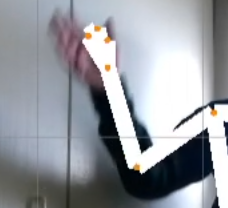 Disabling smoothLandmarks in PoseTrackingGraph has no effect · Issue #452 · homuler ...