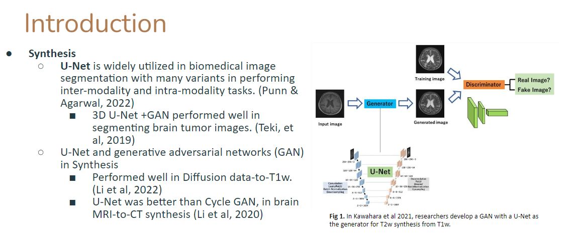 GitHub - nibafanfan/Medical-Image-Analysis-Project: Medical Image ...