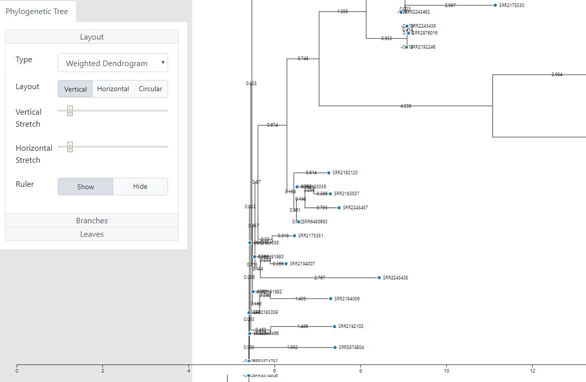 Backwards branches on weighted dendrogram with a .tsv SNP matrix ...