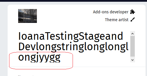 Display name will appear cut when is longer than 25 chars on the user profile page · Issue ...