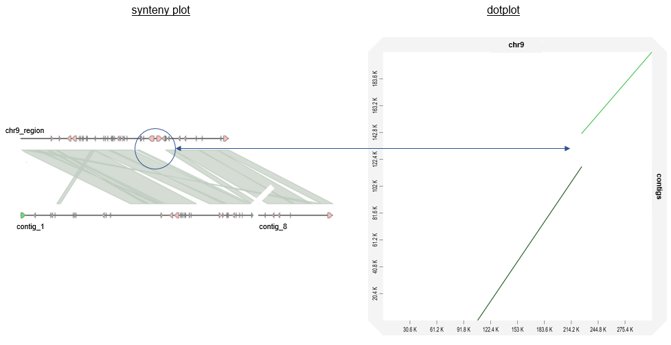 GitHub - TC-Hewitt/OatCrownRust: Custom scripts and workflows used in the genomics and ...