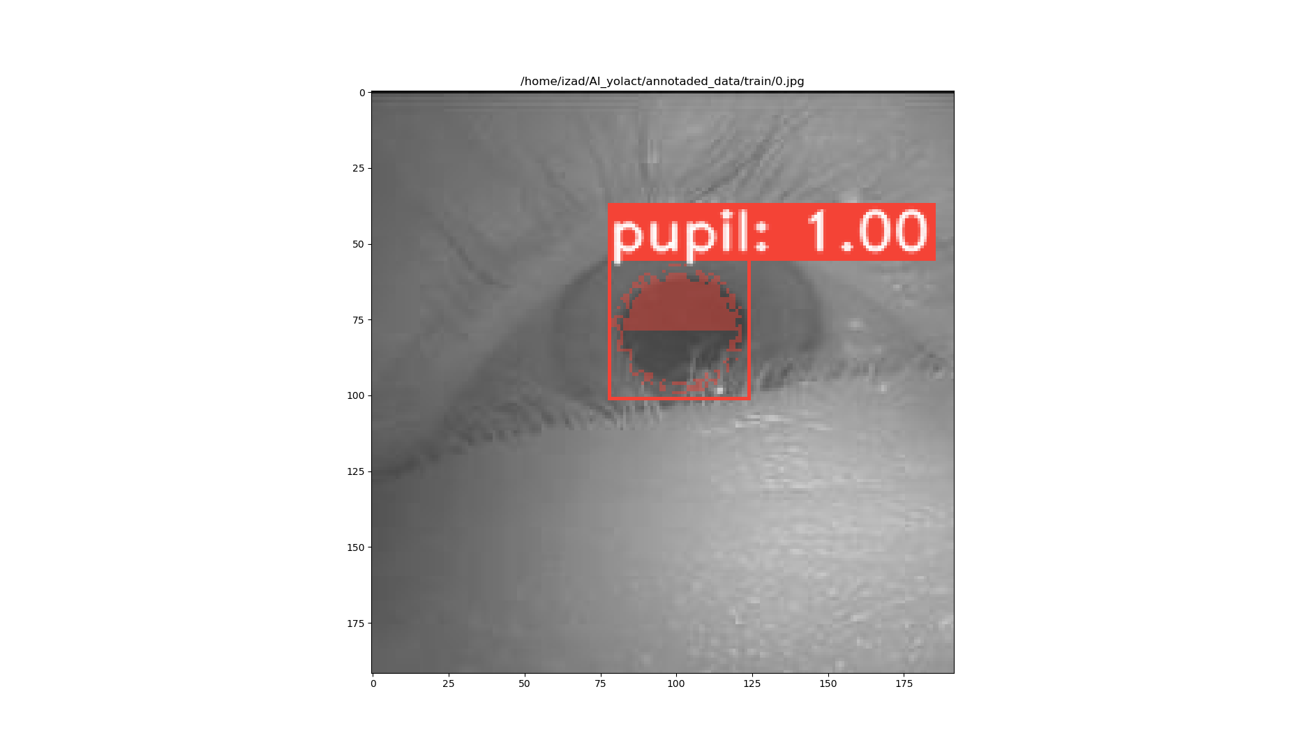 Can't save The prediced mask and box · Issue #404 · dbolya/yolact · GitHub