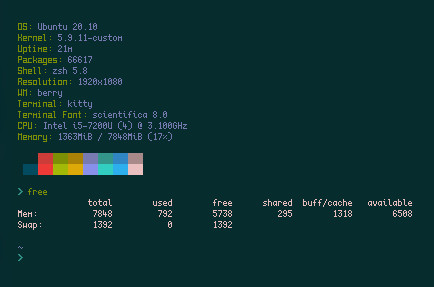 Inaccurate memory usage being reported · Issue #1621 · dylanaraps/neofetch · GitHub