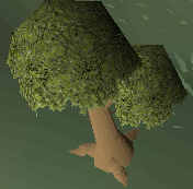 GitHub - paulpierce34/OSRS-Basic-Woodcutting-Python-Bot: This is a python script that uses the ...