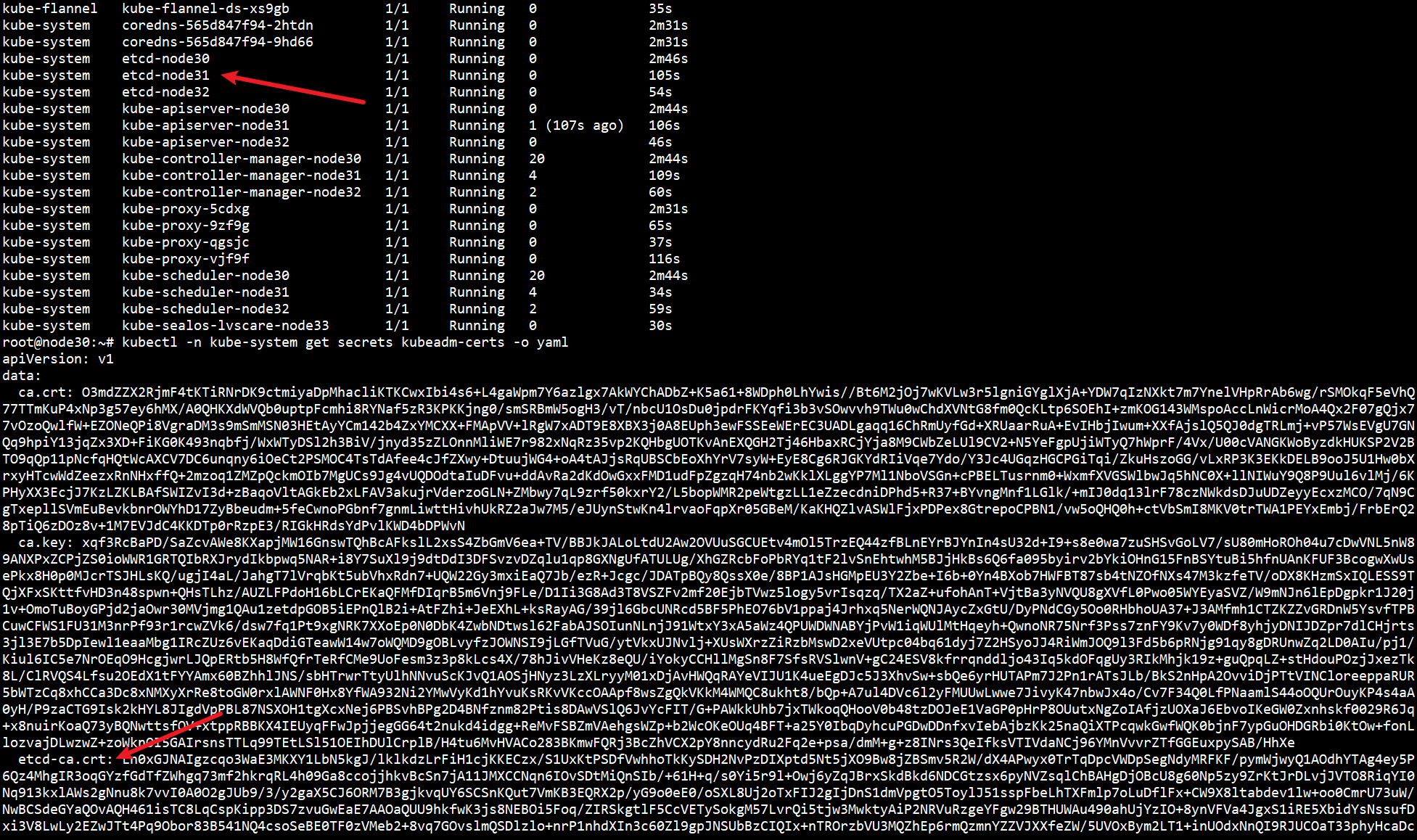 BUG: sealos ha cluster connnect external etcd failed · Issue #2859 · labring/sealos · GitHub