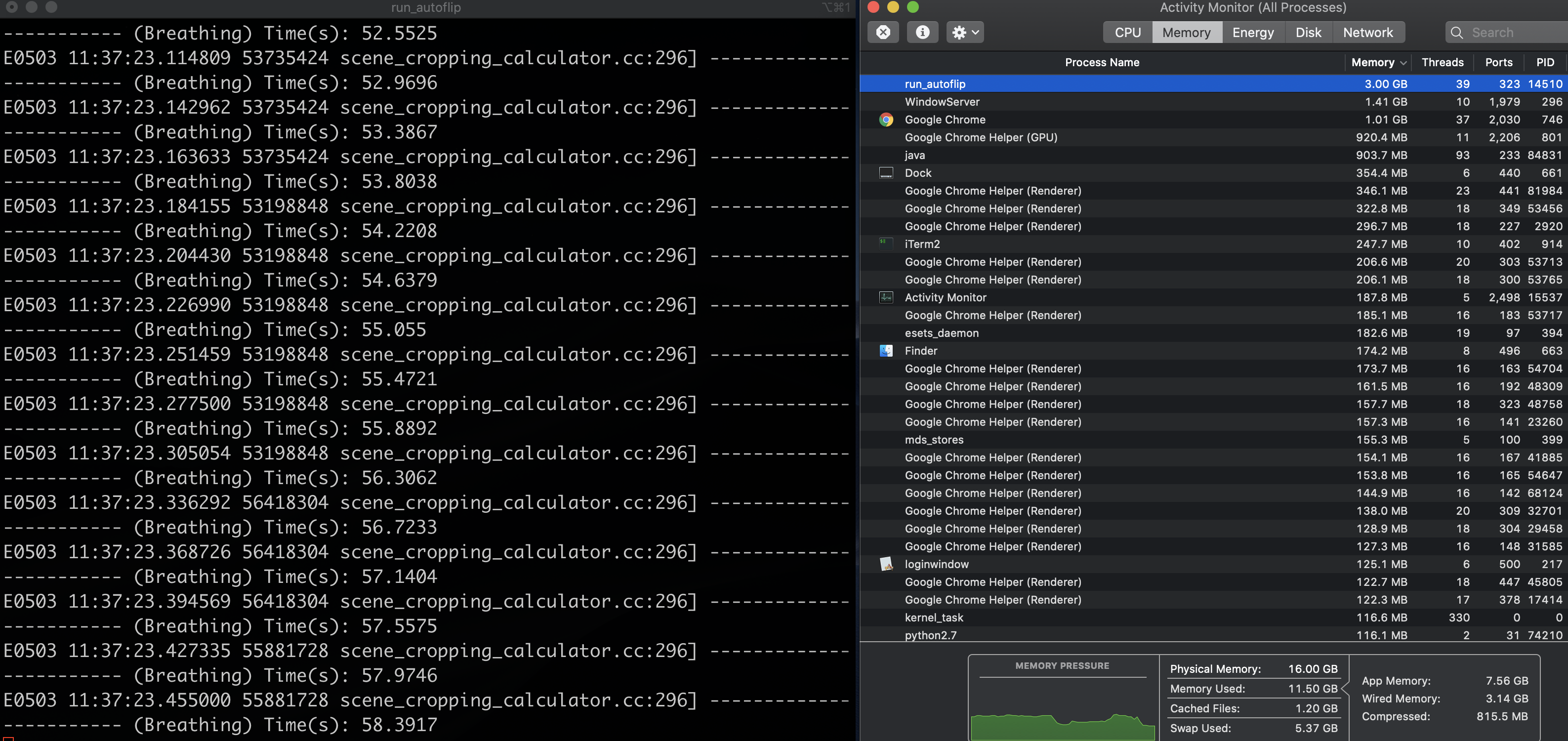 Autoflip runs out of memory and gets Killed · Issue #672 · google-ai-edge/mediapipe · GitHub