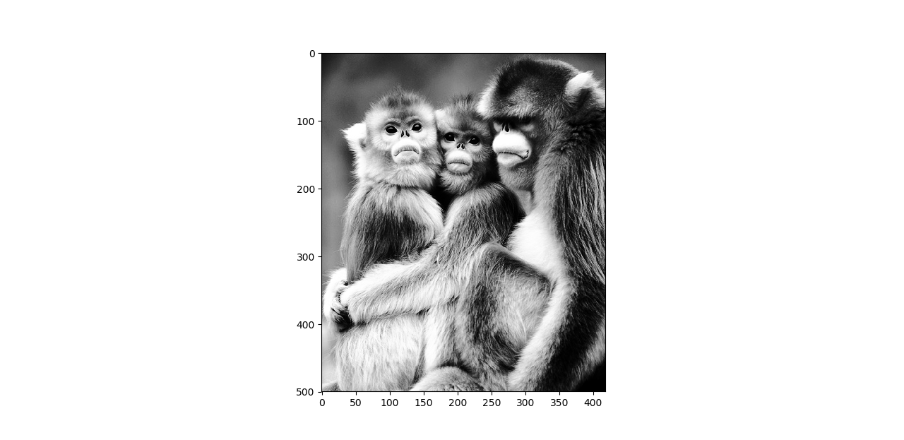 GitHub - ayafjbara/Quantization_Equalization: Image Processing - Performing intensity ...