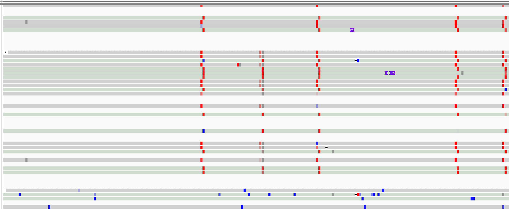 Modified Basecalling For Supplementary Alignments · Issue 131 · Nanoporetechremora · Github 