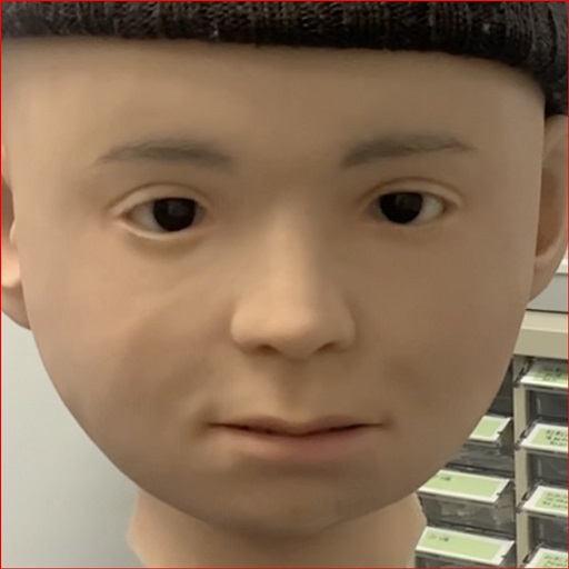 GitHub - conchincradle/my-GANimation-replication